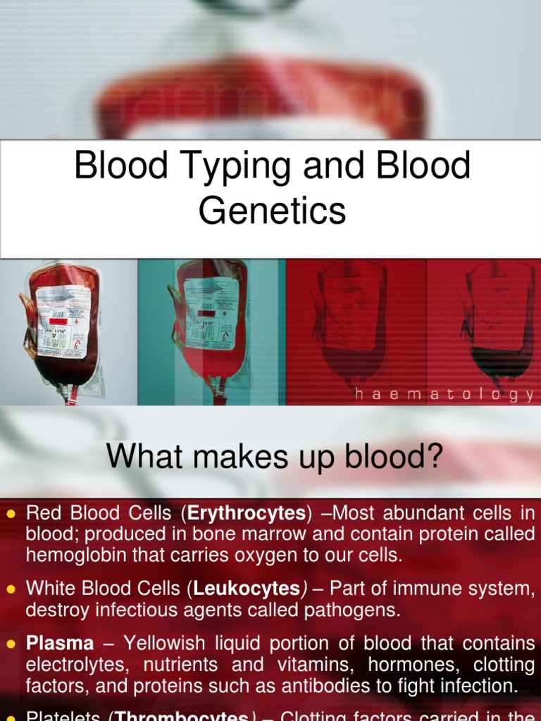 Blood Typing and Genetics | PDF | Blood Type | Tissue (Biology)