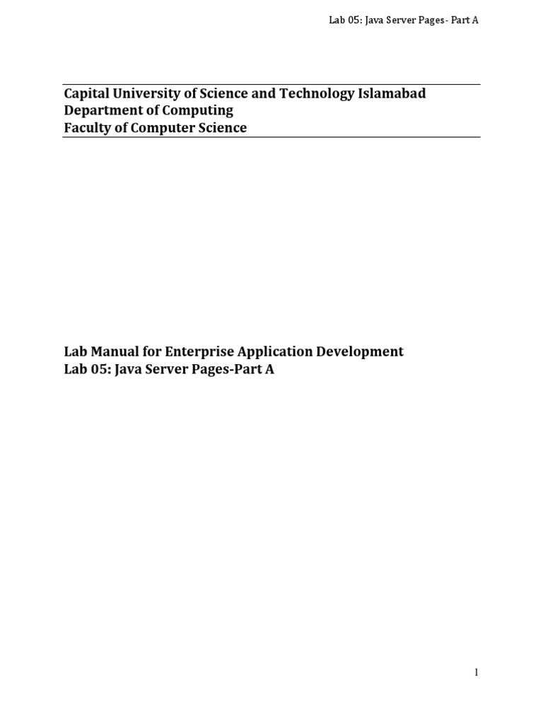 Capital University of Science and Technology Islamabad Department of ...