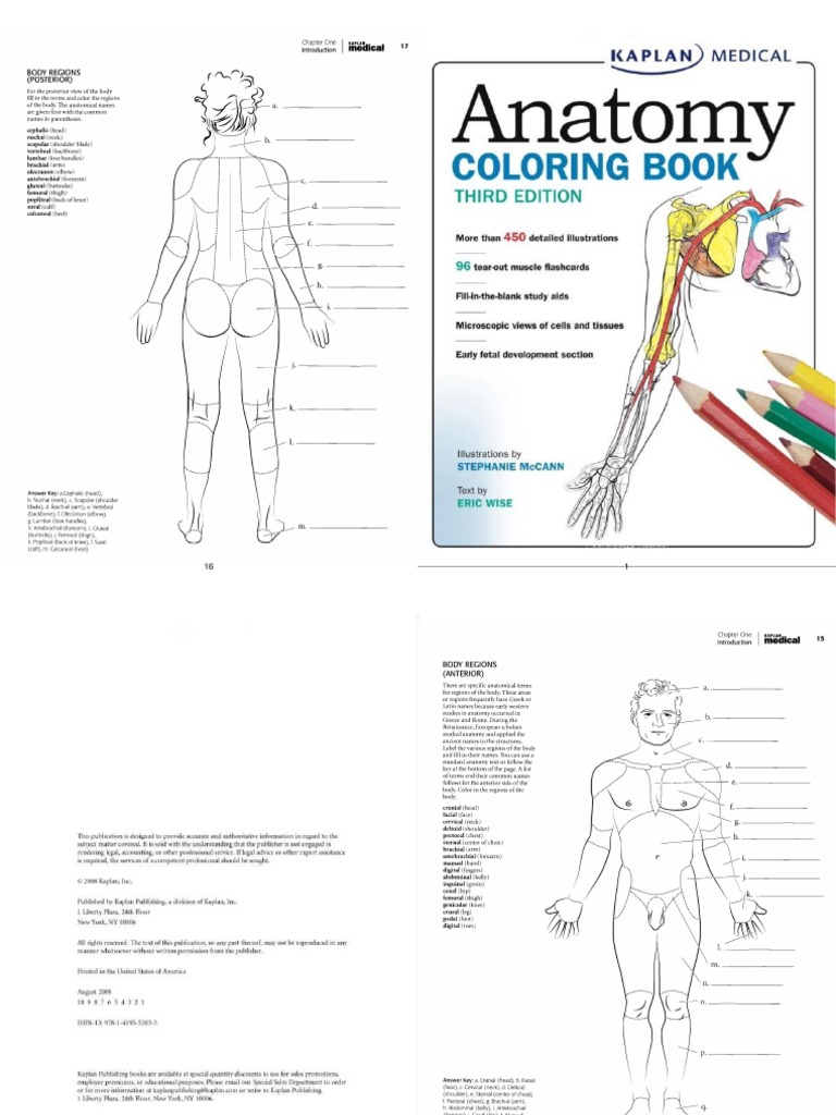 Pub Anatomy Coloring Book 2 Booklet | PDF | Anatomical Terms Of ...