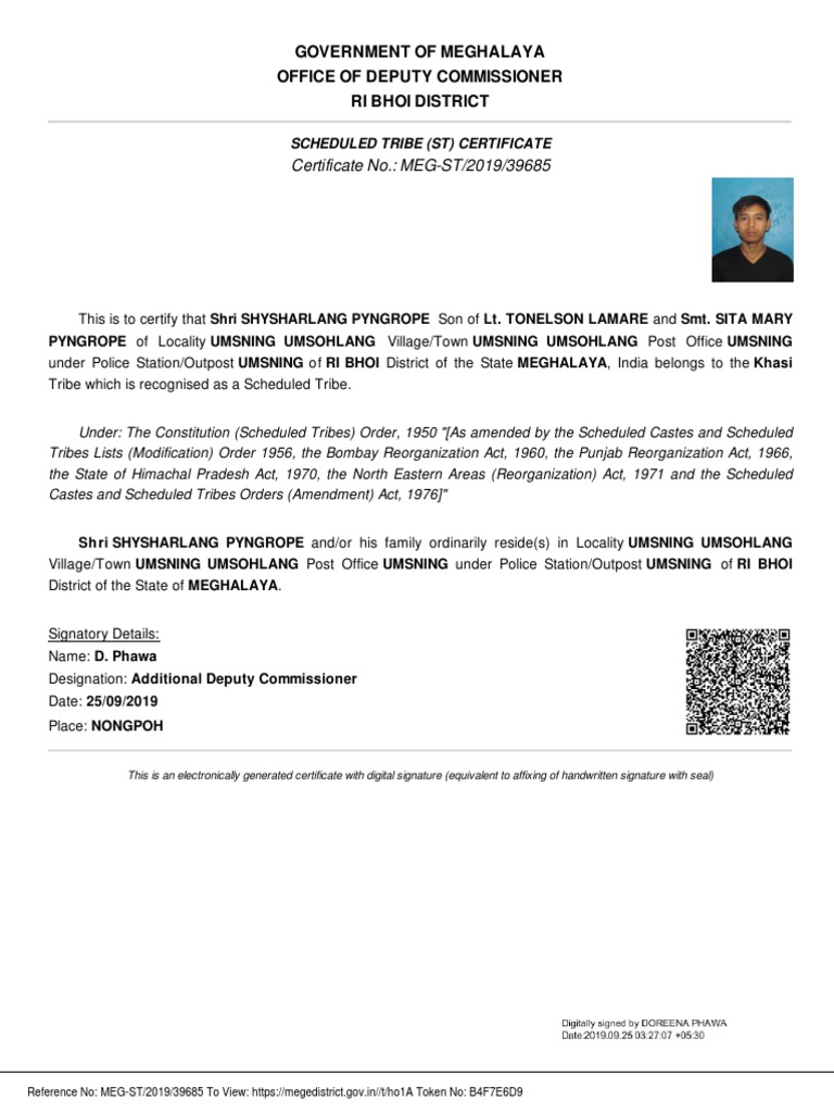 Meg-St 2019 39685 | PDF