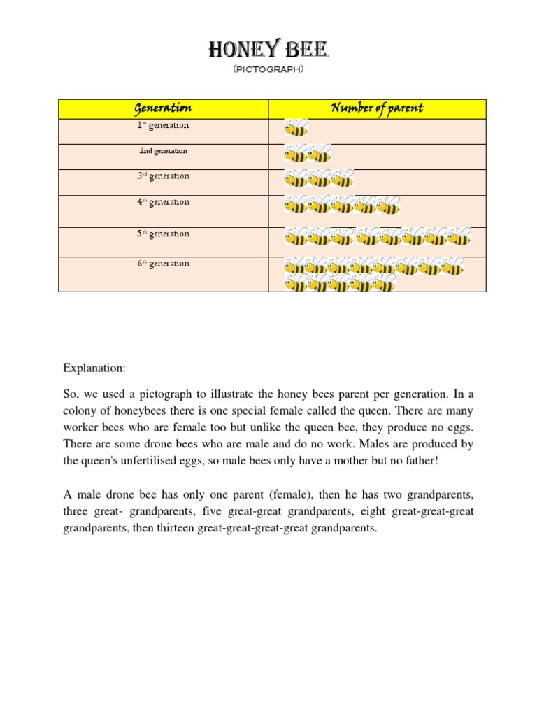 Bee Graph | PDF