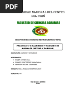 Visita Al Rastro | PDF | Carne | Matadero