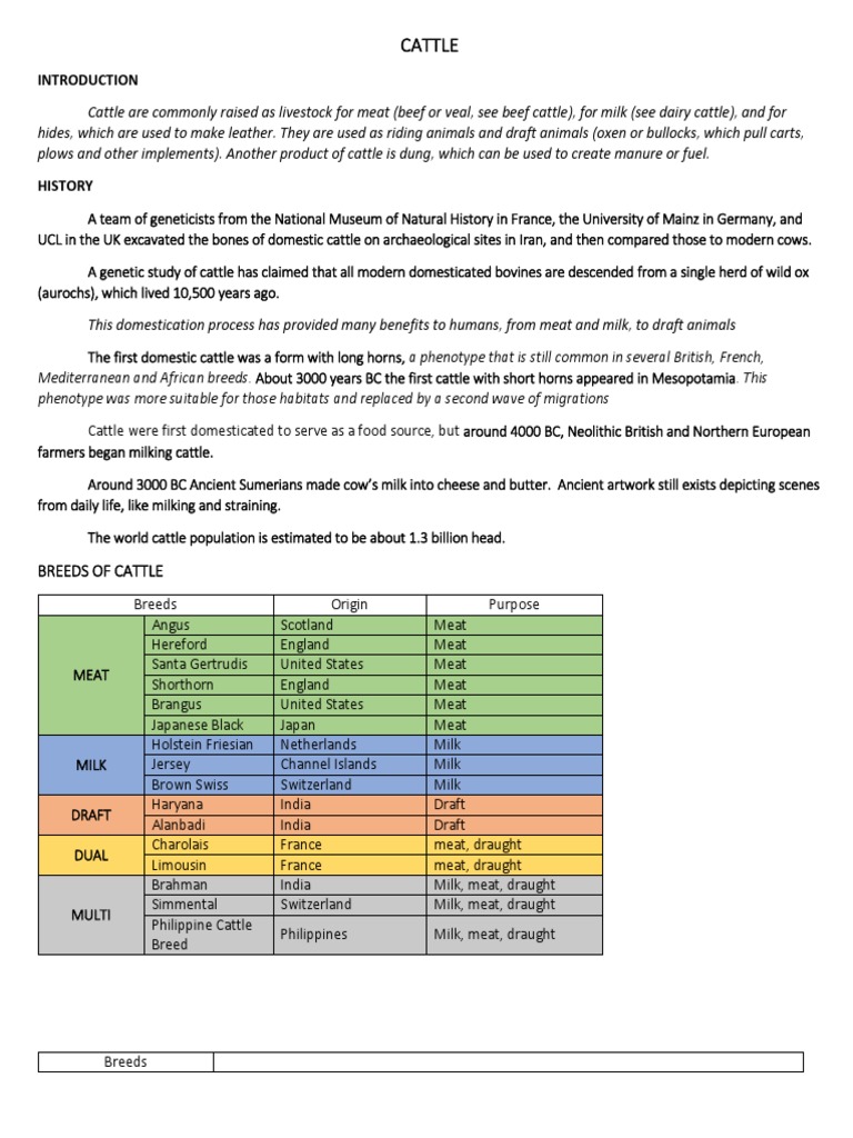 Breeds of Cattle | PDF | Cattle | Dairy Cattle
