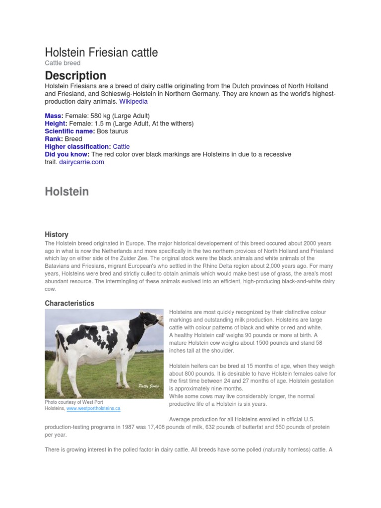 Dairy Cattle Breed Pdf Dairy Cattle Cattle