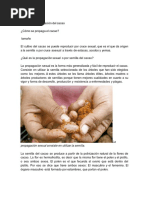 Ficha Tecnica Ultrasol Map | PDF | Fertilizante | Solubilidad