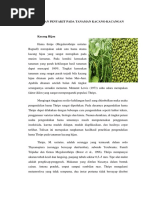 Hama Penyakit Tanaman Terong | PDF