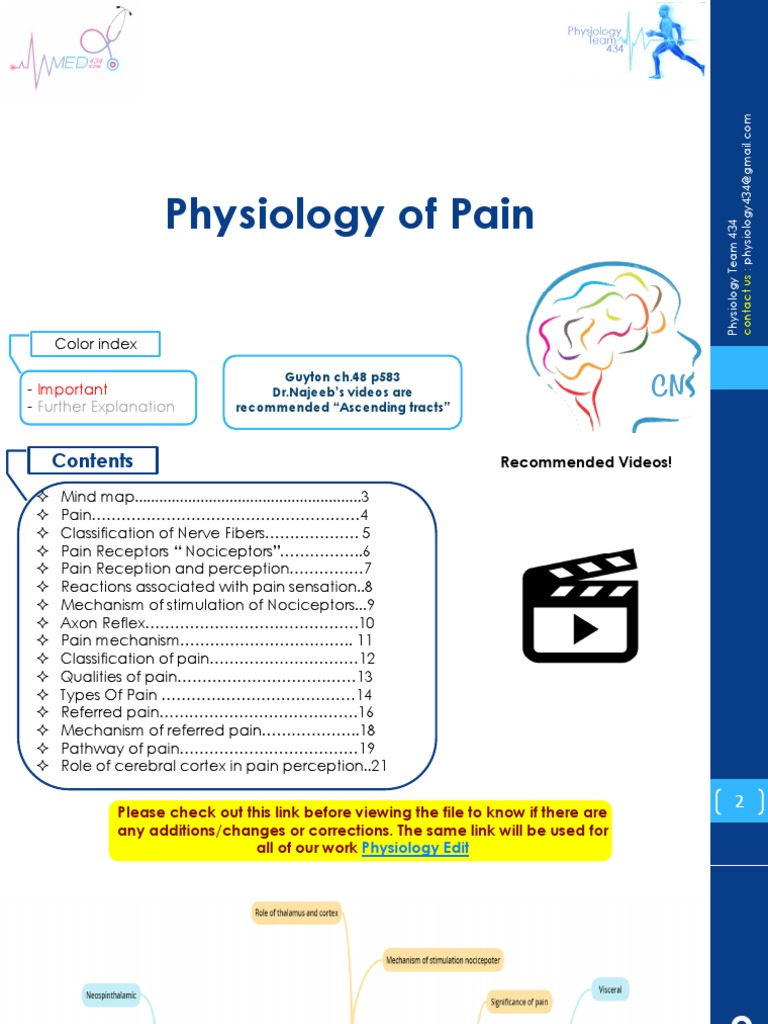 Physiology of Pain | PDF | Somatosensory System | Pain