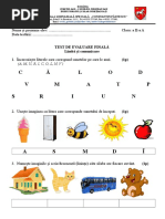 CLR Evaluare Sumativa Modulul I | PDF