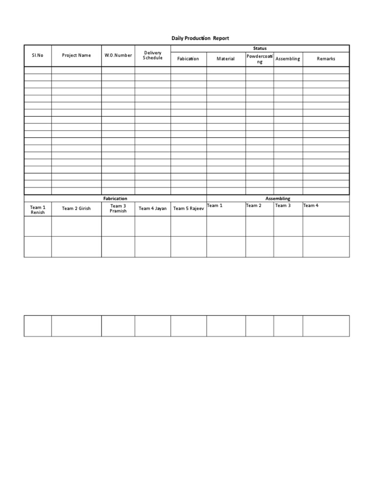 Daily Production Status Report | PDF