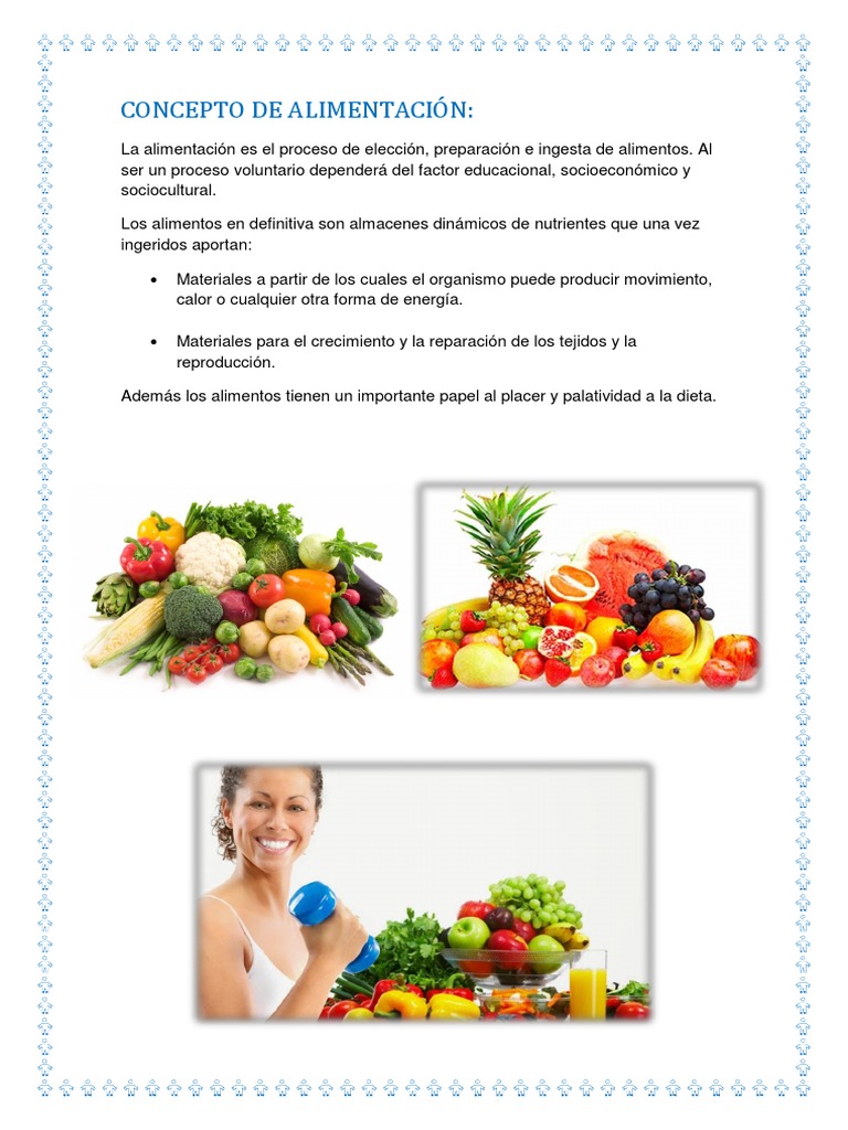 Concepto de Alimentación | PDF