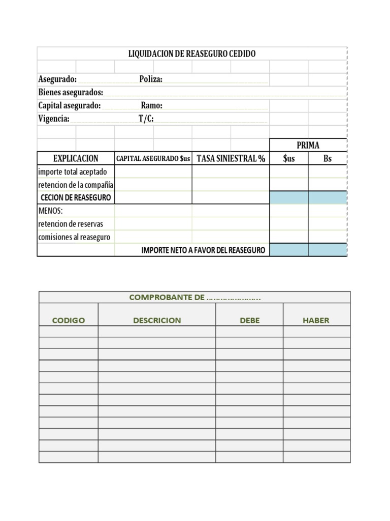 Liquidación de Reaseguro y Capital Asegurado | PDF | Reaseguro | Seguro