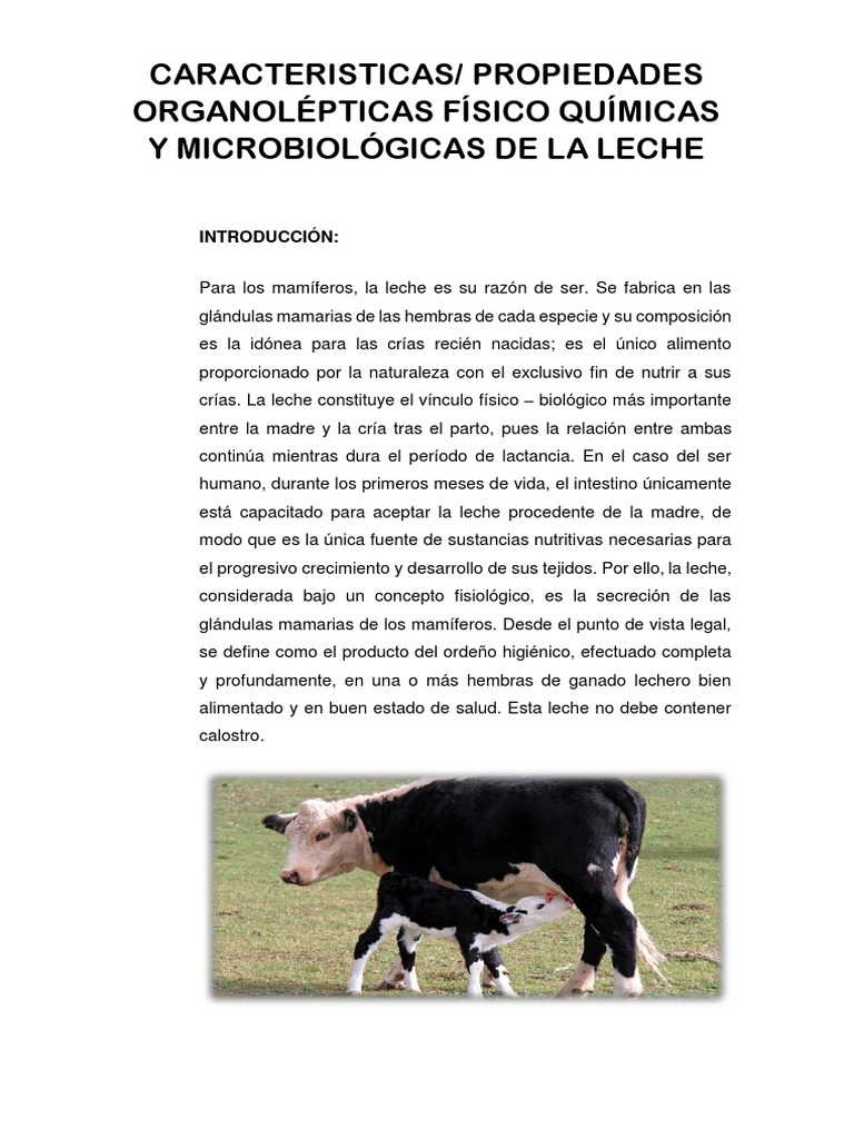 Características y propiedades de la leche | PDF | Leche | Ph