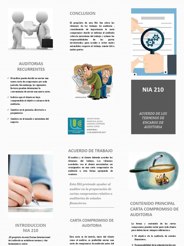 Folleto NIA 210 | PDF | Auditoría | Contralor