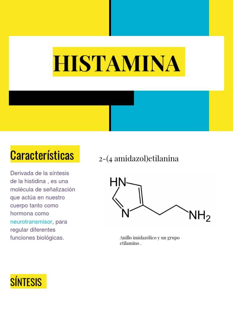 HISTAMINA | PDF | Neuroquímica | Neurociencia