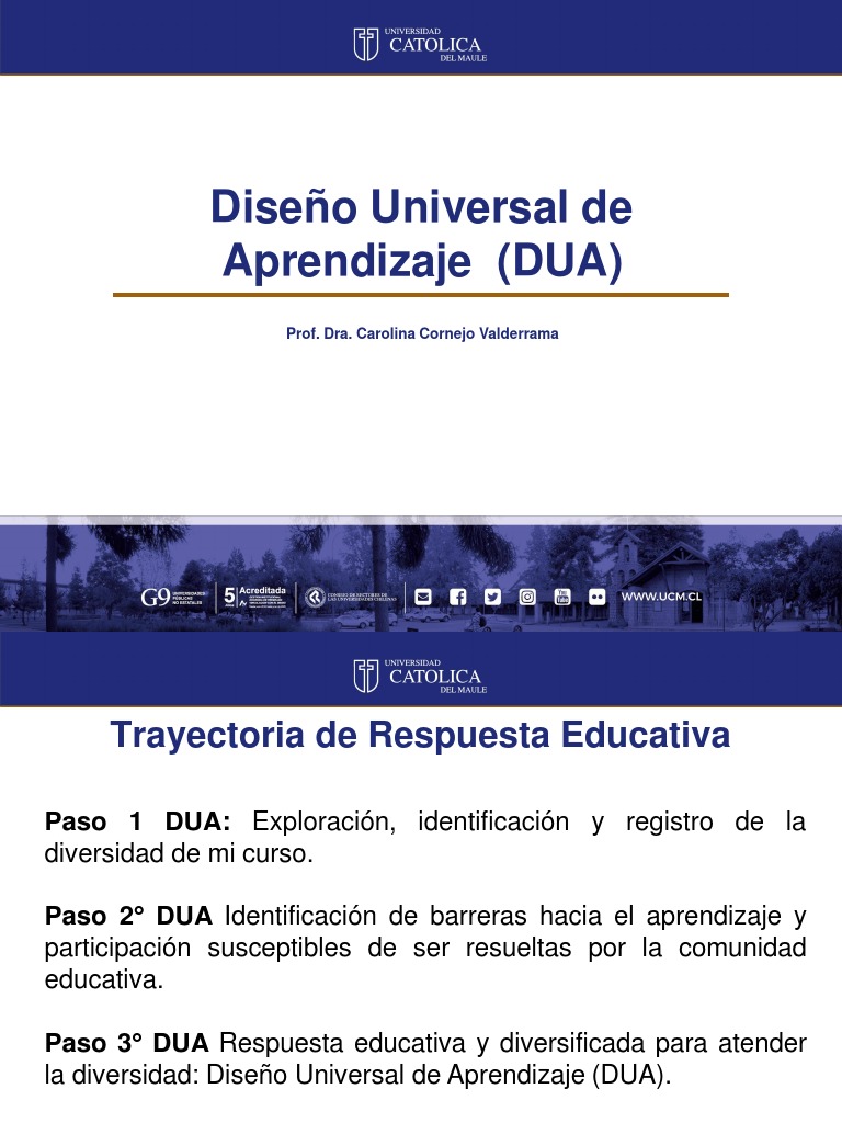 Diseño Universal de Aprendizaje DUA PDF | PDF | Evaluación | Aprendizaje