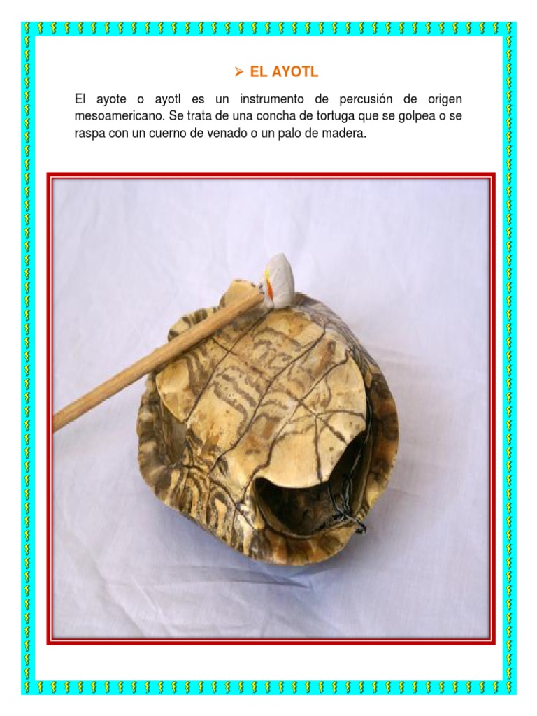 Instrumento Ayotl: Percusión Mesoamericana | PDF