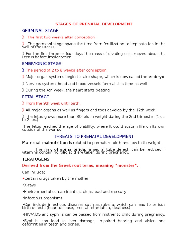 The first two weeks after conception 》: Germinal Stage | PDF | Prenatal ...