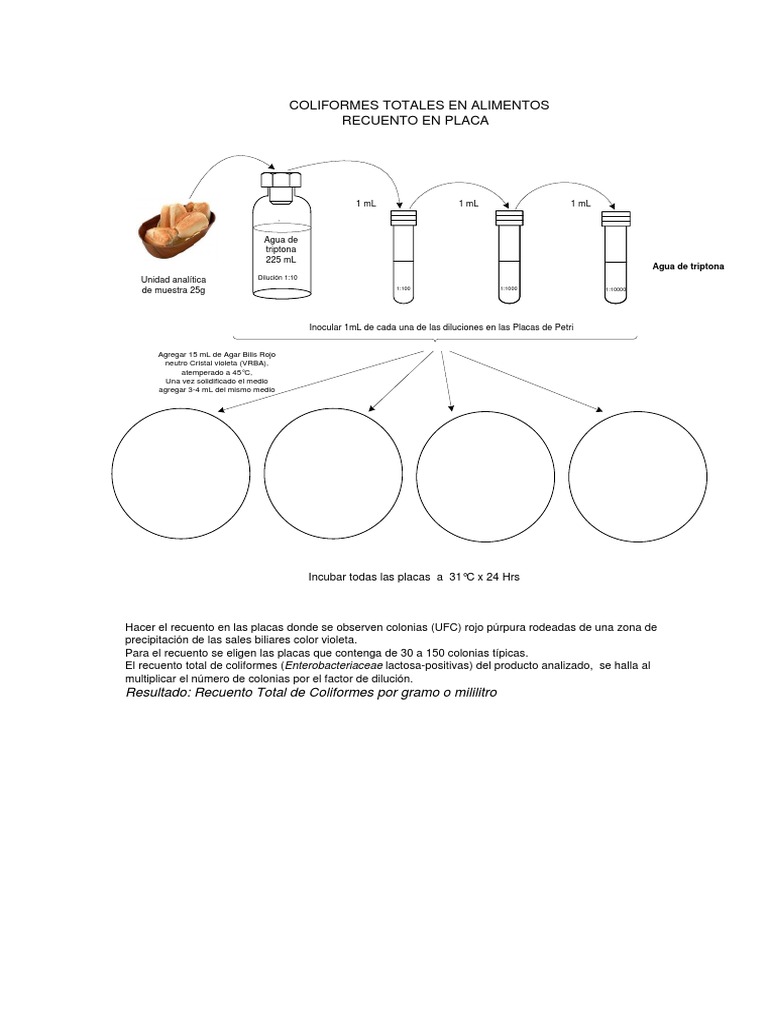 Recuento de Coliformes Totales en Alimentos | PDF