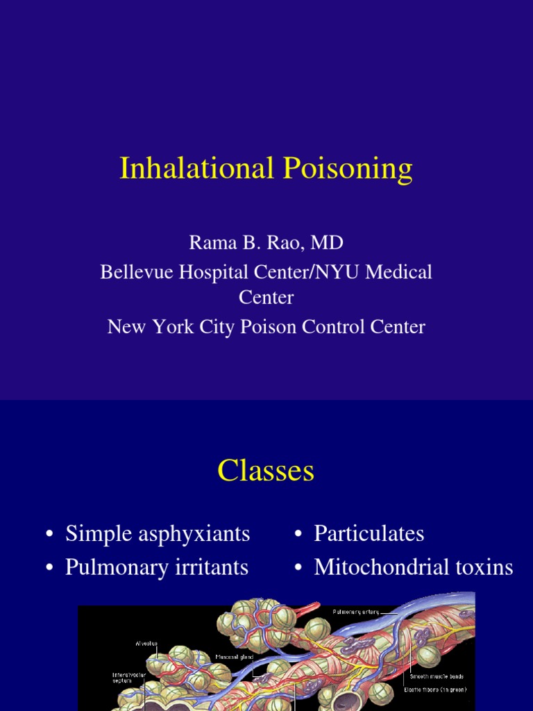 Inhalational Poisoning: Understanding Carbon Monoxide and Other Toxic ...