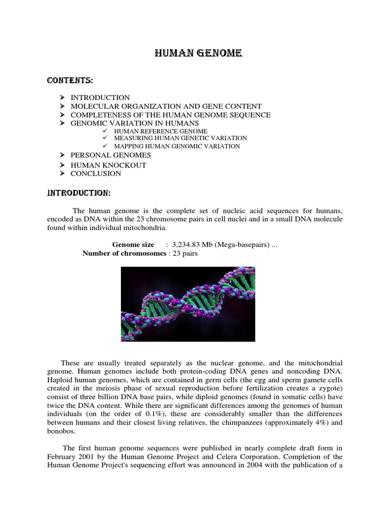 Human Genome | PDF | Human Genome | Single Nucleotide Polymorphism