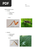 Types of Legs in Insects | PDF