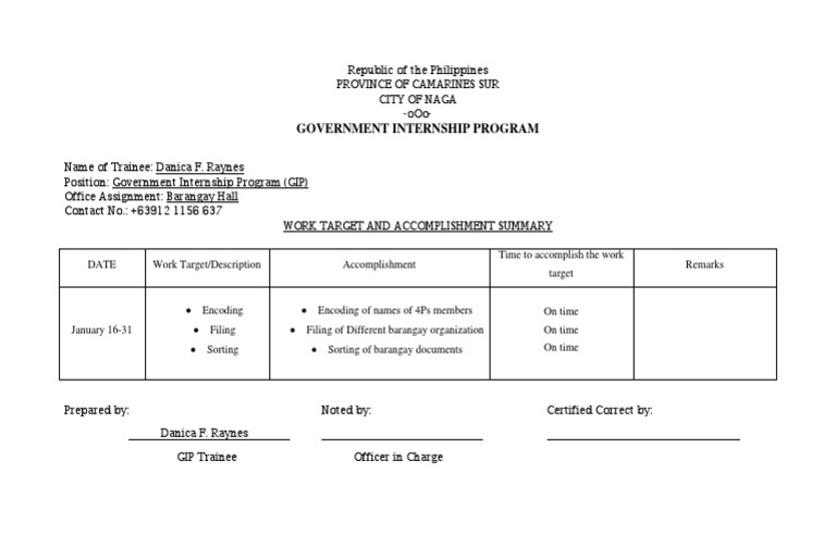 Government Internship Program Summary | PDF