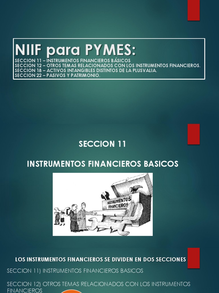 NIIF para PYMES secciones 11, 12, 18 y 22 | Activo intangible | Interés