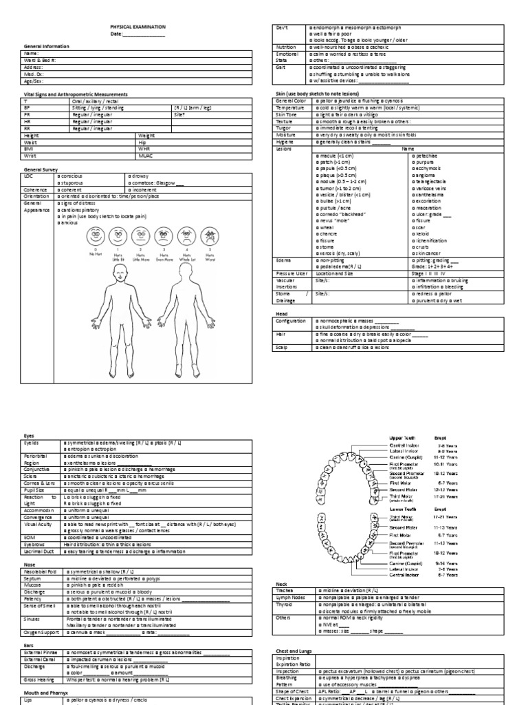 PE Maternal Form | PDF | Human Nose | Medical Specialties