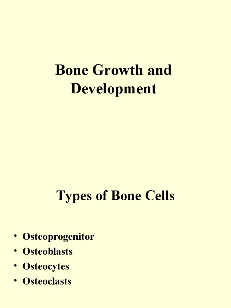 Bone Growth and Development | PDF | Bone | Osteoblast