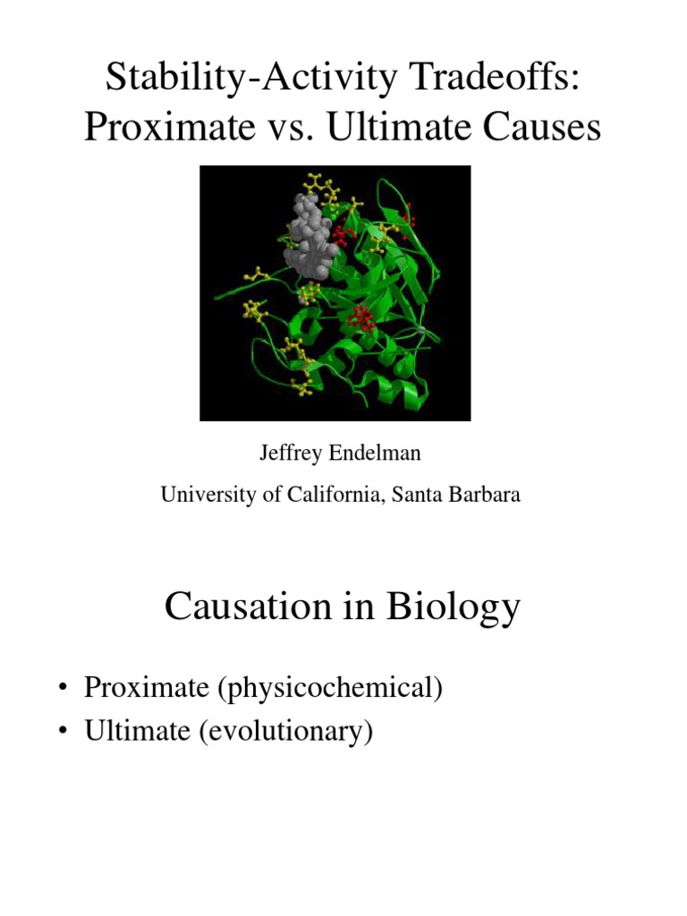 Stability-Activity Tradeoffs: Proximate vs. Ultimate Causes | PDF ...