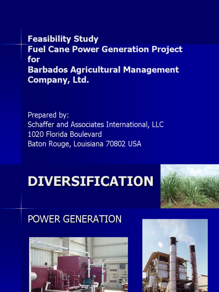 Feasibility Study Fuel Cane Power Generation | PDF | Sugarcane ...