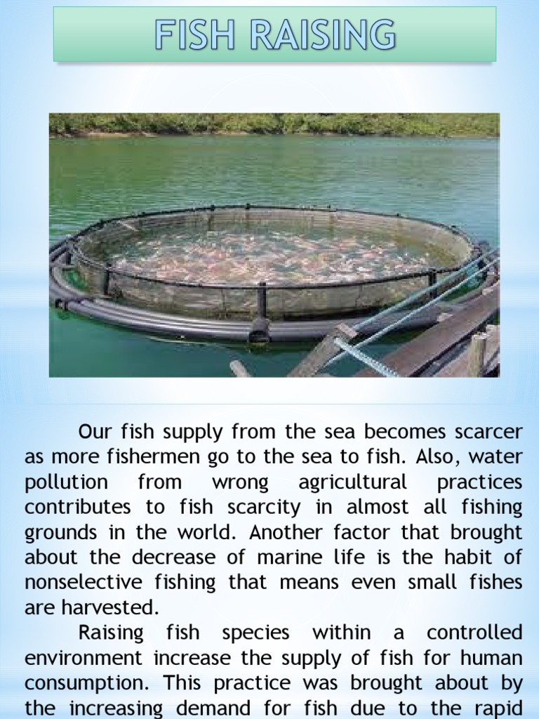 Fish Culture | PDF
