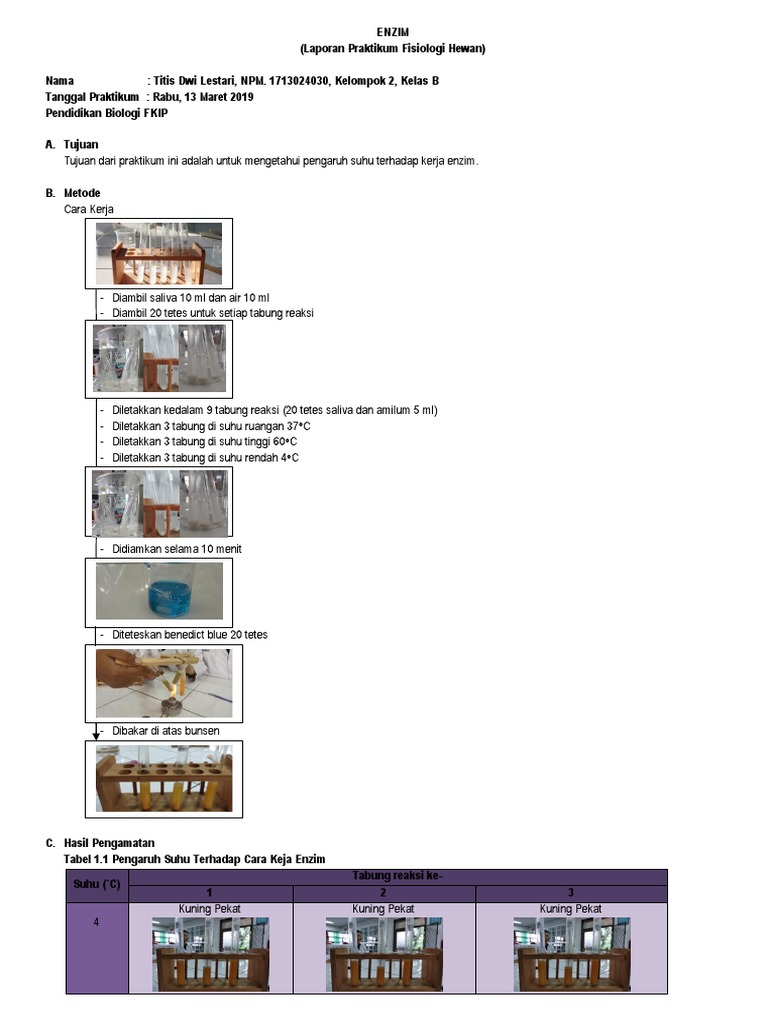 Laprak 1 (Kerja Enzim) | PDF | Memasak, Makanan, & Anggur | Kesehatan ...
