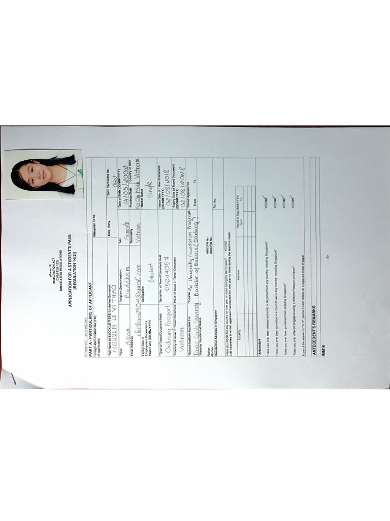 Nguyen Le Vi Thao-Ica Form | PDF