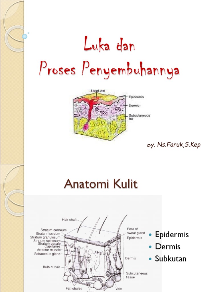 Luka Dan Proses Penyembuhannya | PDF