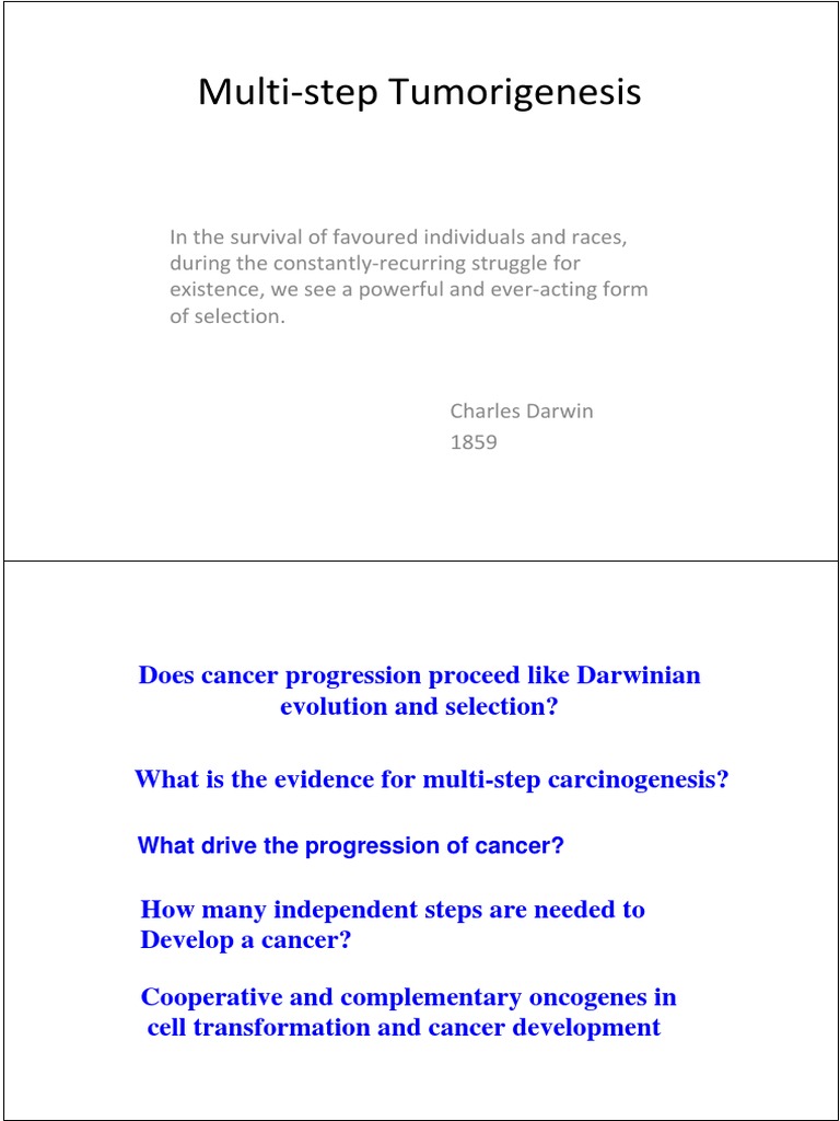 07-Multistep Tumorigenesis | PDF | Carcinogenesis | Cancer
