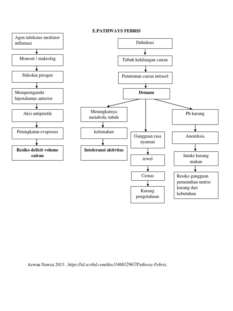 Pathways Febris | PDF