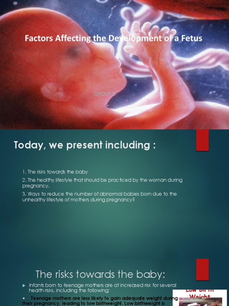 Factor Affecting The Development of Fetus | PDF | Prenatal Development ...