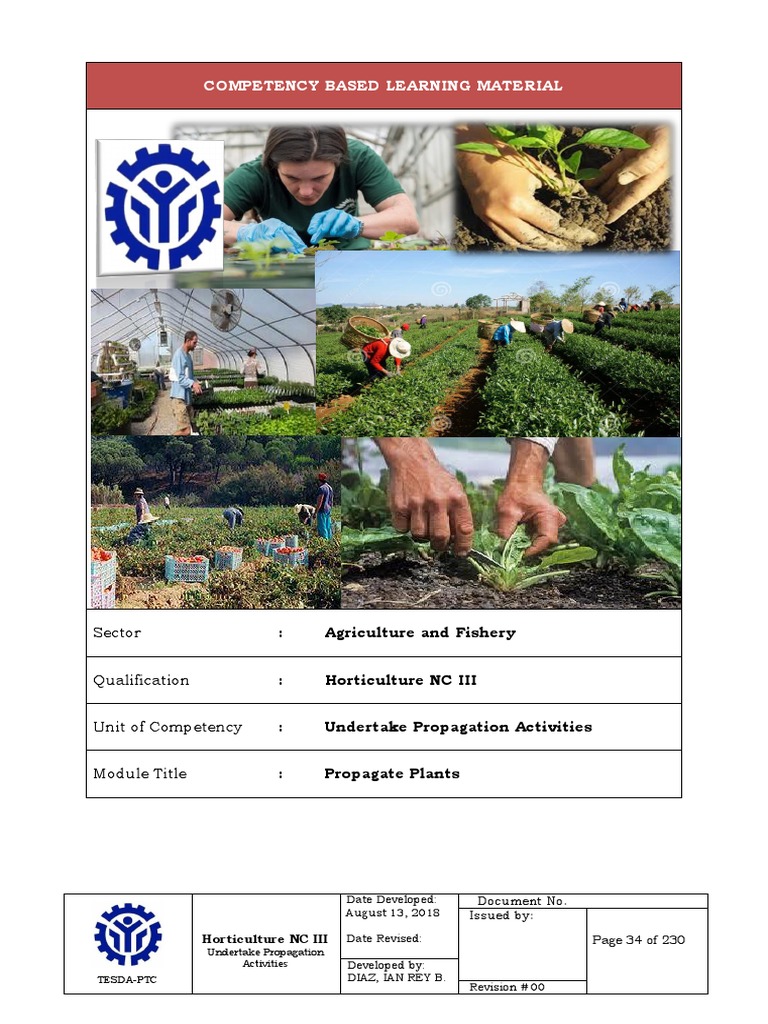 001 Cblm Core Final Pdf Seed Lemon