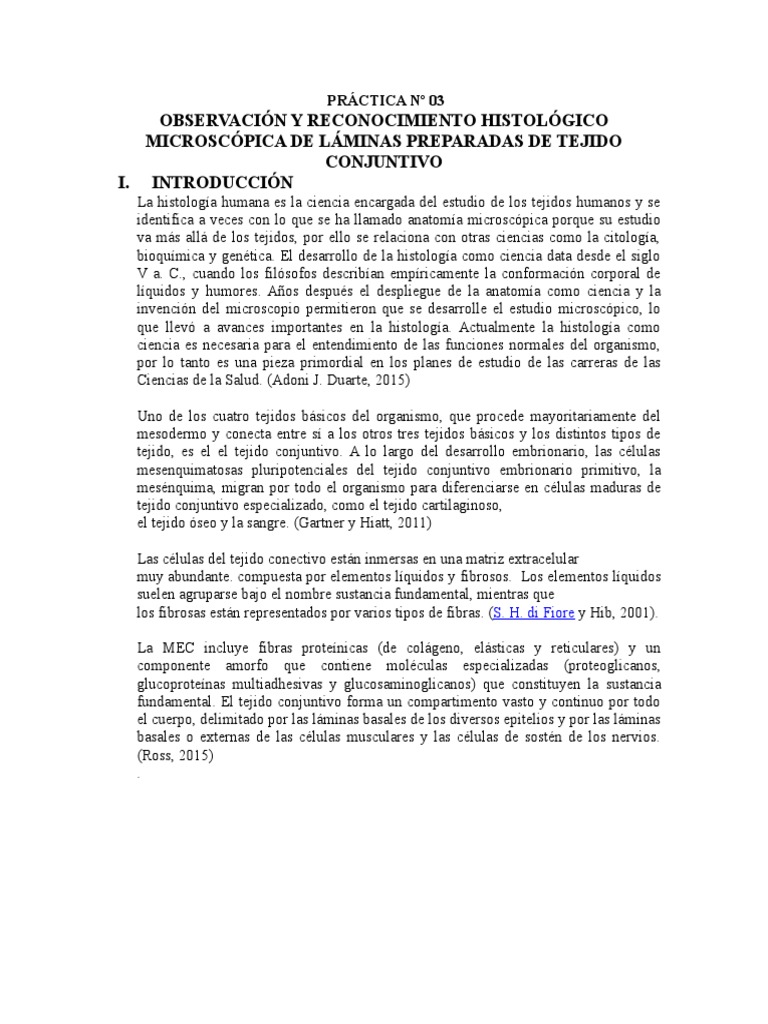 Práctica #04 Histologia | PDF | Tejido conectivo | Epitelio
