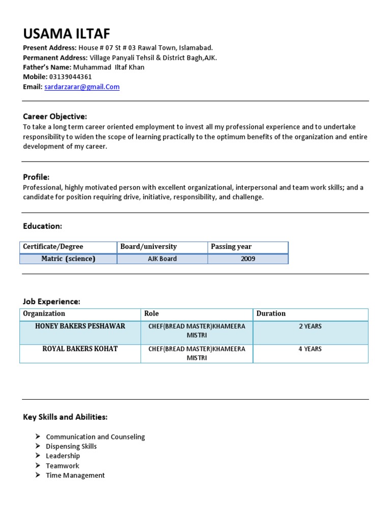Usama Iltaf: Career Objective | PDF