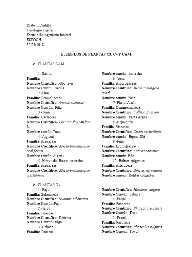 Ejemplos de Plantas C3, C4 y CAM | PDF | Plantas | Botánica