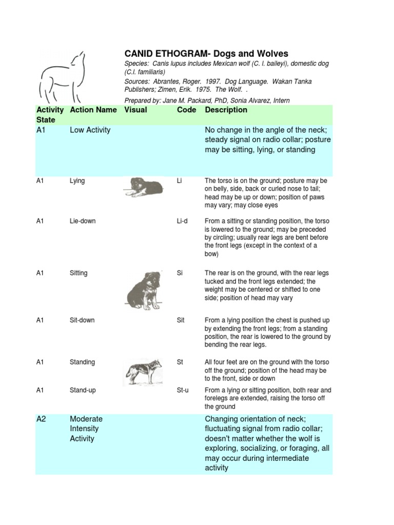 ETOGRAMA | PDF | Canines | Dogs