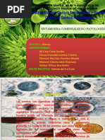 Alteraciones Morfológicas de Los Eritrocitos | PDF | Medicina CLINICA ...