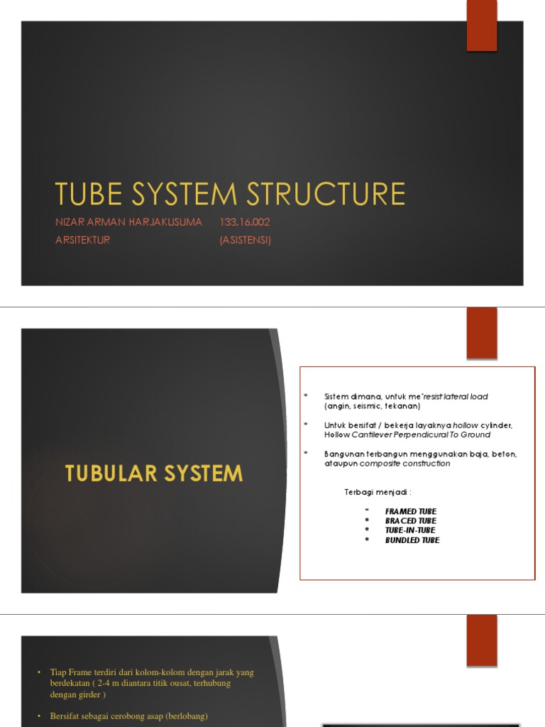 Tube System Structure | PDF | Seni