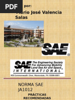 Norma Sae Ja 1011 y Norma Sae Ja 1012 | PDF | Entorno natural | Science