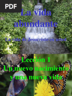 Libro de Vida Abundante | PDF | Cristo (título) | Jesús