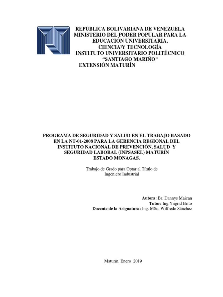 Programa de Seguridad y Salud en El Trabajo Basado en La NT-01-2008 ...