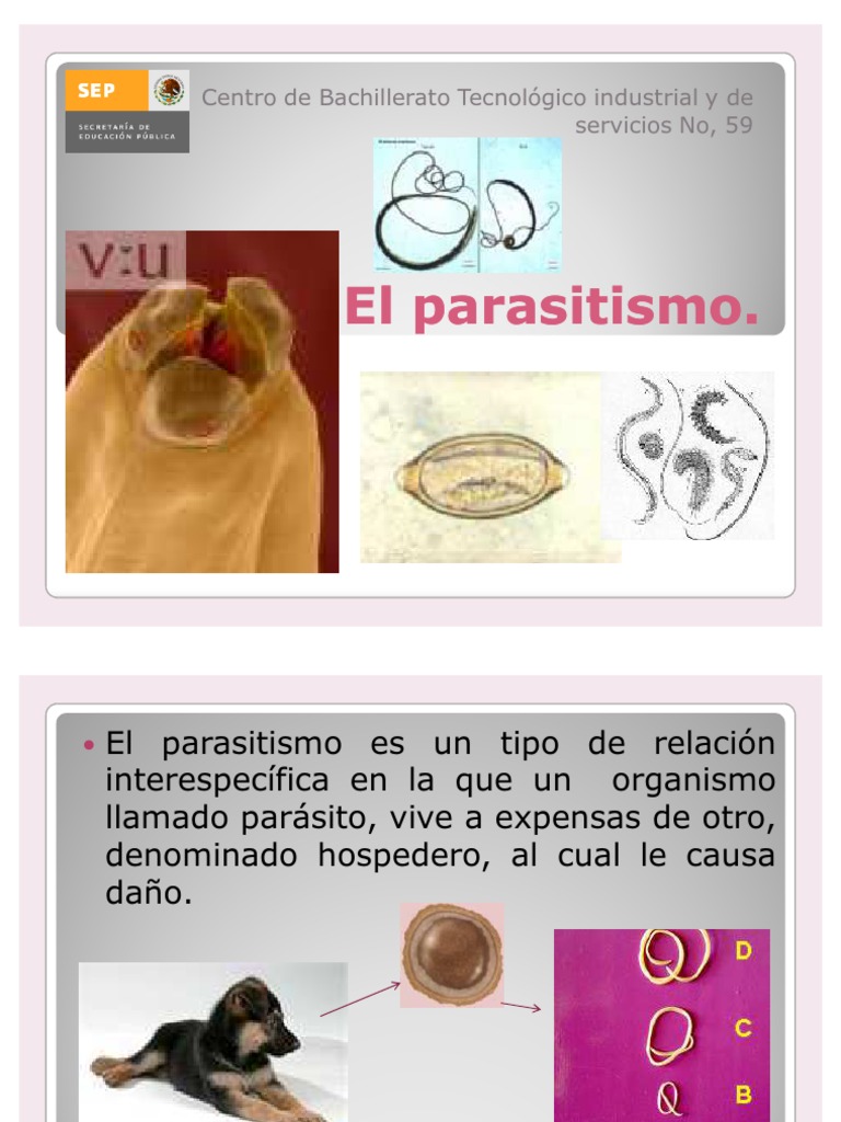 El Parasitismo | PDF | Parasitismo | Vida