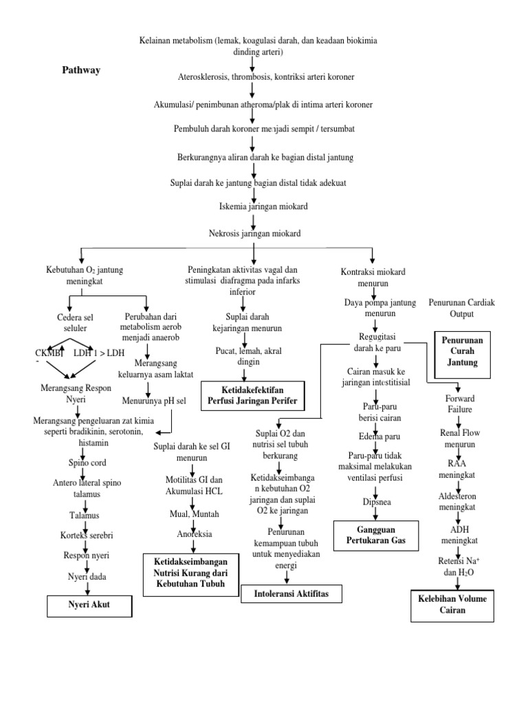Pathway Patofisiologi Infark Miokard | PDF